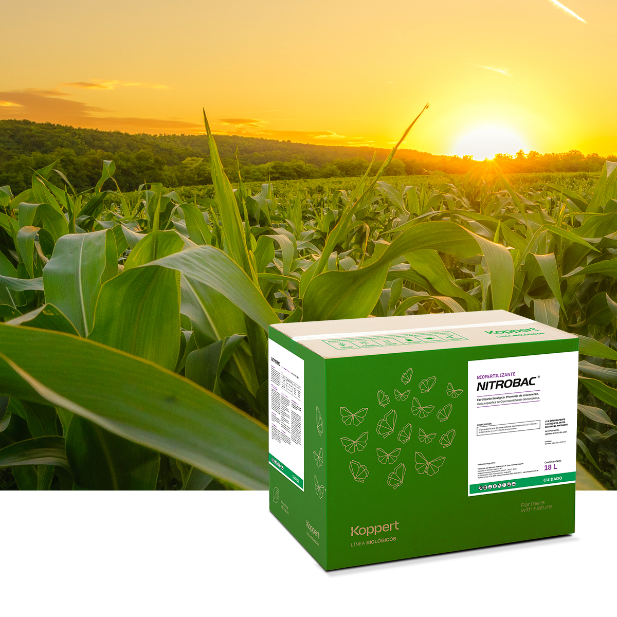 Línea Biológicos | Koppert Argentina | Partners with Nature